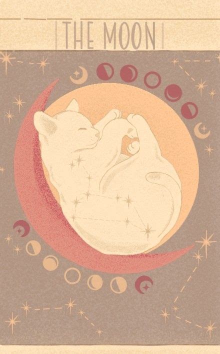 Two Cats Cuddle Together On The Moon