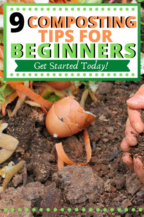 Composting Tips For Beginners You Need To Get Started Artofit