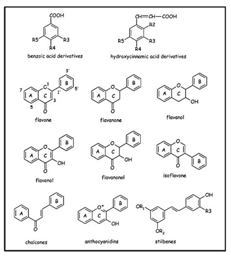 Estructuras B Sicas De Cidos Benzoicos Flavonoides Y Estilbenos