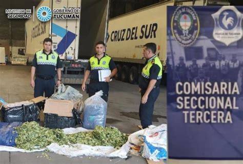 Tucumán Noticias Agencia de Noticias Secuestran hoja de coca