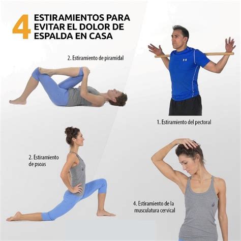 Este Es El Mejor EJERCICIO Para Aliviar El Dolor De ESPALDA Tips Y