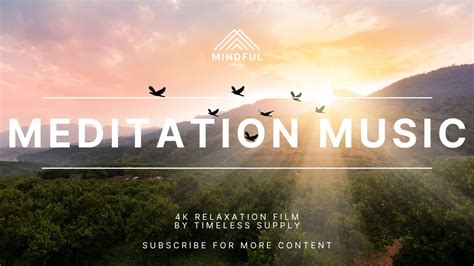 Relaxing Music With Birds Singing Sounds YouTube
