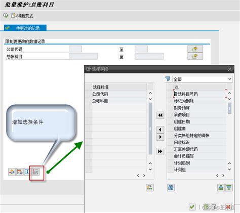 批量调整公司代码层会计科目数据 ob glacc12 sap obglacc12 csdn博客
