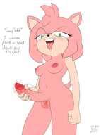 Post 5665943 Amy Rose MrGuy820 Sonic The Hedgehog Series