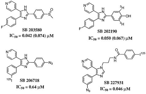 Pyridinyl Imidazole Inhibitors Of P Mitogen Activated Protein Kinase