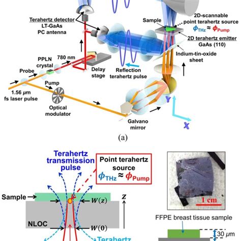 Schematic Illustration Of Scanning Point Terahertz Source Imaging