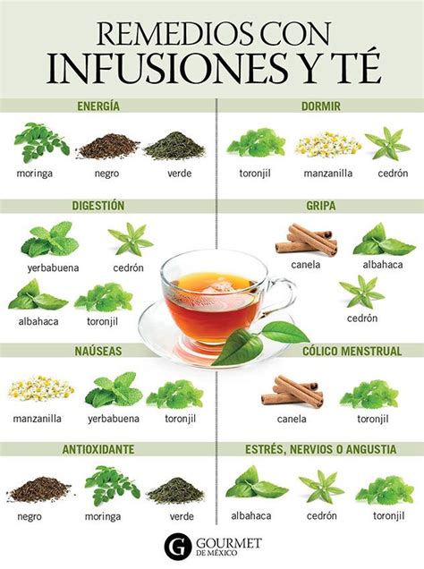 Los beneficios de los tés e infusiones Artofit