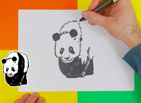 Comment dessiner un panda Découvrez le tuto dessin