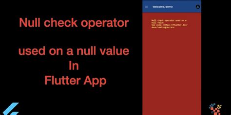Null Check Operator Used On A Null Value ListView Flutter Total Above