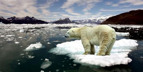 Cuál es el nivel actual de derretimiento glacial Escuelapedia