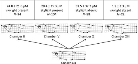 cartesian transformation grids that depict the deviation of the download scientific diagram