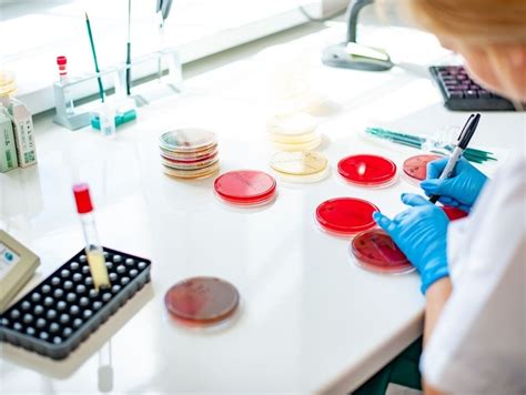 Wi Cej Zdrowia Latem Akcja Profilaktyczna Laboratori W Diagnostyka