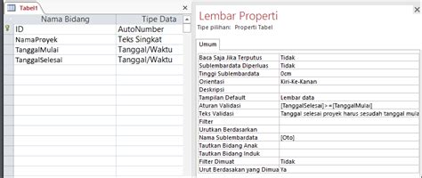 tipe tipe data pada microsoft access