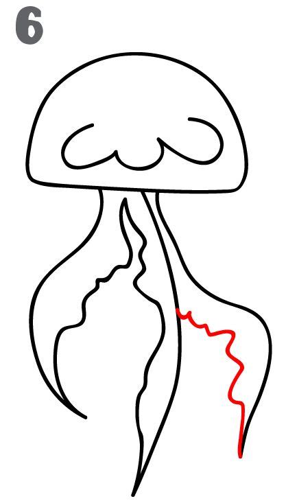 How To Draw A Jellyfish Step By Step Jellyfish Drawing How To Draw