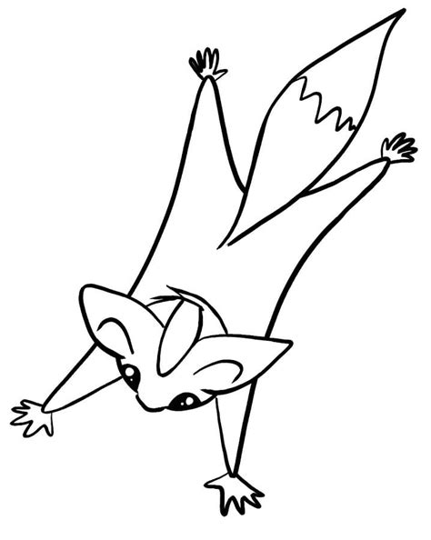 Sugar Glider Coloring Pages Coloring Cool