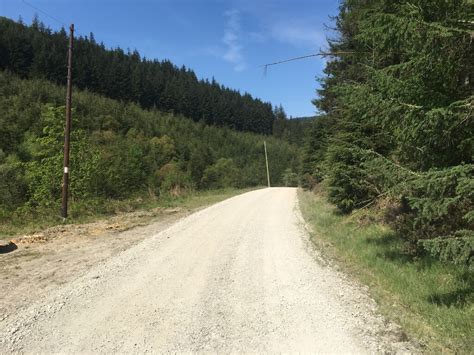 Forestry Road Near Ystrad Y Groes Steven Brown Cc By Sa 2 0