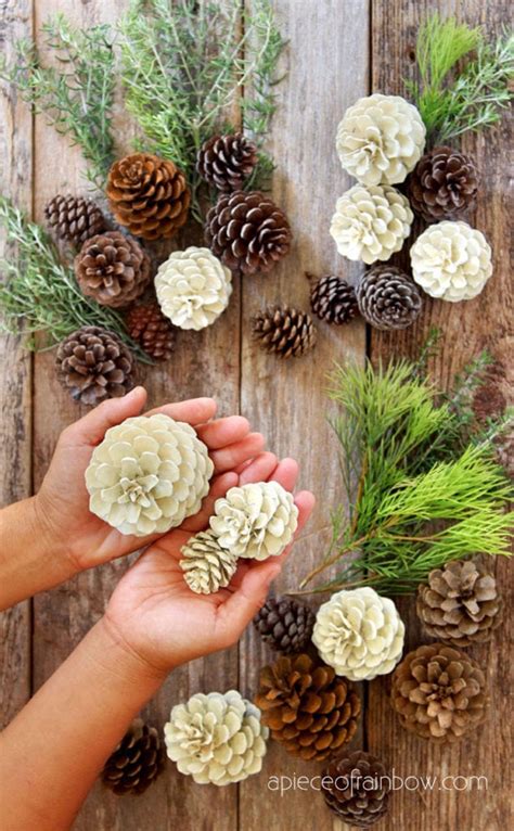 Amazing Diy Pine Cone Crafts Decorations A Piece Of Rainbow