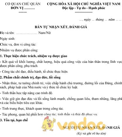 Mẫu bản tự nhận xét đánh giá HoaTieu vn