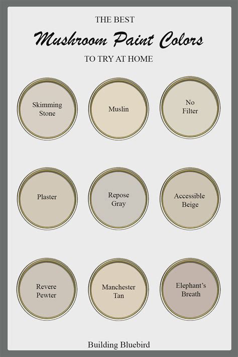 The Best Mushroom Paint Colors For Your Home Building Bluebird