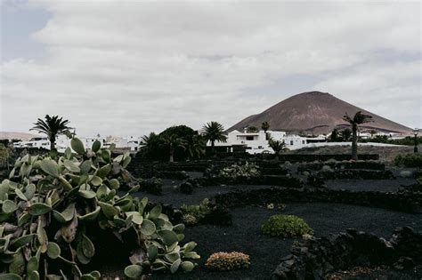 Voluntariado en Lanzarote la continuidad del legado de César Manrique