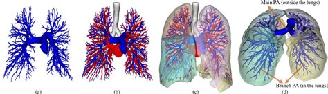 Efficient Automatic Segmentation For Multi Level Pulmonary Arteries