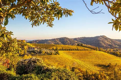 Tre Bicchieri I Migliori Vini Del Friuli Venezia Giulia