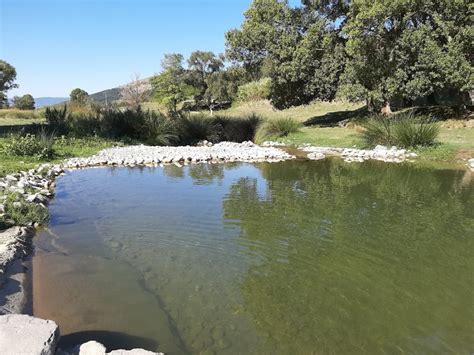 Il Parco Di Travalle Un Oasi Verde A Due Passi Da Firenze Firenze