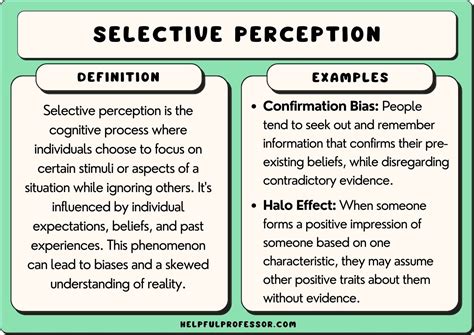 15 Selective Perception Examples 2024