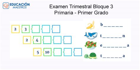 Examen Trimestral Bloque 3 Primer Grado 2023 2024