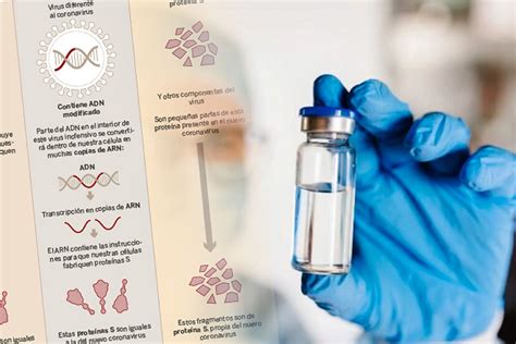 Covid 19 Cuántos tipos de vacunas hay cómo funcionan y cuál es su