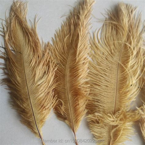 Pluma De Avestruz Dorada De 100 Piezas Longitud De Pluma De 8 10