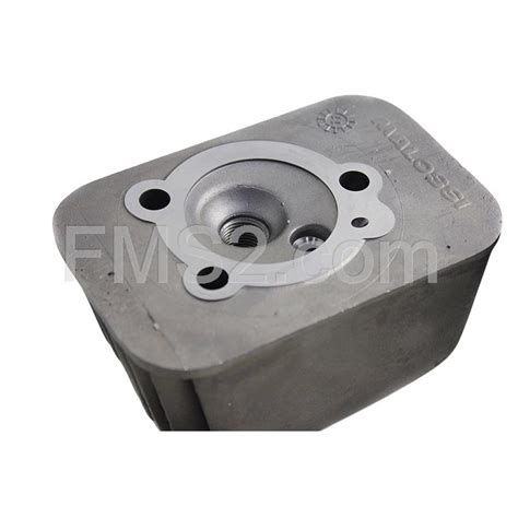 Motore Gruppo Termico Diametro 43 Ghisa Spinotto 12 Mm Base Cvf Malossi