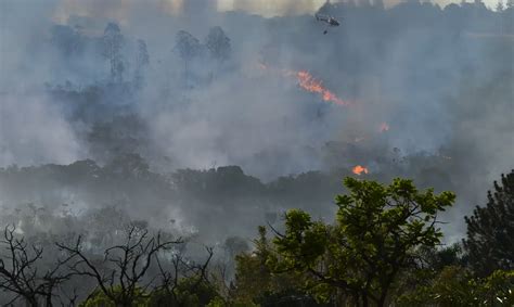 Brasil perdeu 110 milhões de hectares de vegetação nativa em quase 40