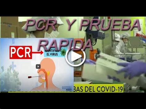 Diferencia entre PCR y test rápido para diagnosticar el Coronavirus