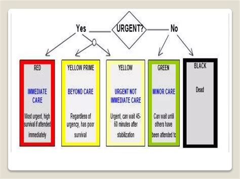 Triage In Disaster Management PPT