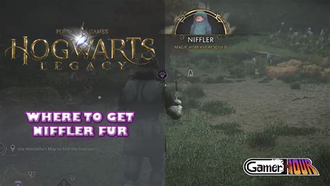 Hogwarts Legacy Where To Get Niffler Fur GamerHour