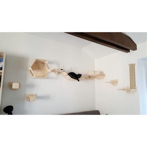 Parcours Mural Pour Chat Offrez Votre Chat Un Espace De Jeu