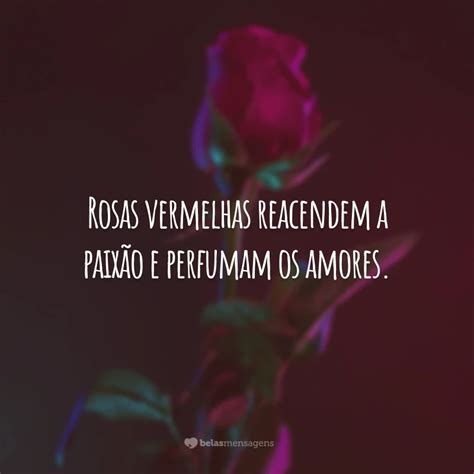 40 Frases Sobre Rosas Para Perfumar A Vida A Flor Do Amor