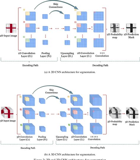 figure 2 from medical image segmentation using 3d convolutional neural networks a review