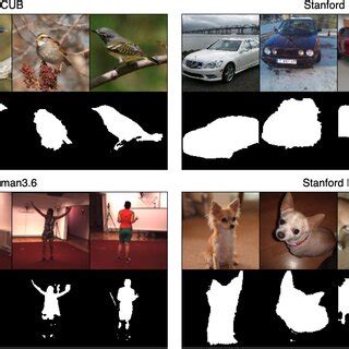 Unsupervised Segmentation Masks Generated By Our Proposed Approach