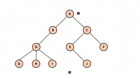 图解 数据结构：树和森林与二叉树的相互转换 知乎