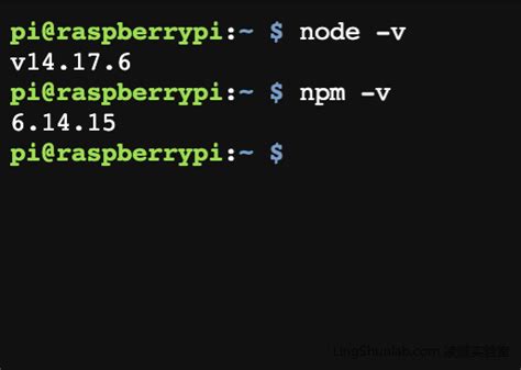 raspberry pi 安装 node js 和 npm 凌顺实验室