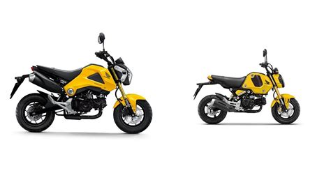 Motorrad Vergleich Honda MSX 125 2013 Vs Honda MSX125 Grom 2024