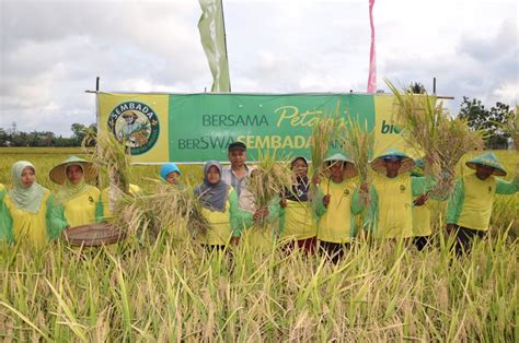 Kelompok Tani DESA KLAMPOK