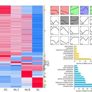 Hierarchical Cluster Analysis Of Differentially Expressed ABRGs A