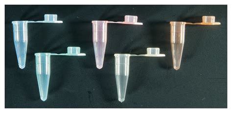 Axygen Tubos de PCR con tapón plano de 0 2 ml Surtido plano 0 1 μl