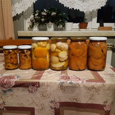 Grzyby Marynowane Kamianna OLX Pl