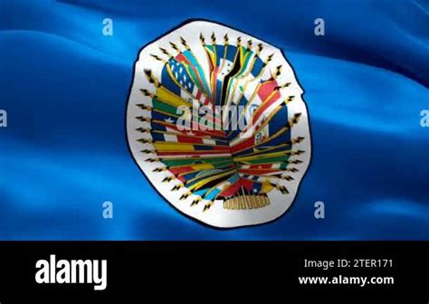 OAS Logo National 3d Organization Of American States Logo Waving Sign