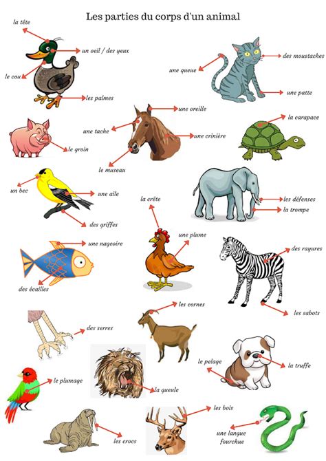 Les Animaux En Français Pdf