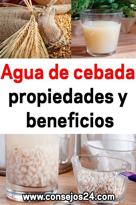 Agua De Cebada Propiedades Y Beneficios Food Breakfast Condiments